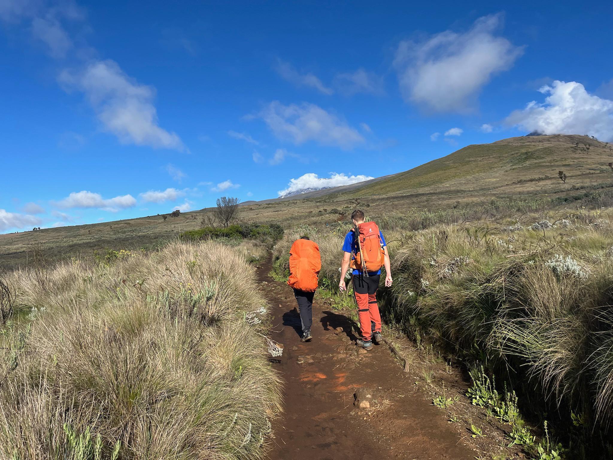 6-Days Rongai Route Kilimanjaro - Serengeti Wildlife Safaris